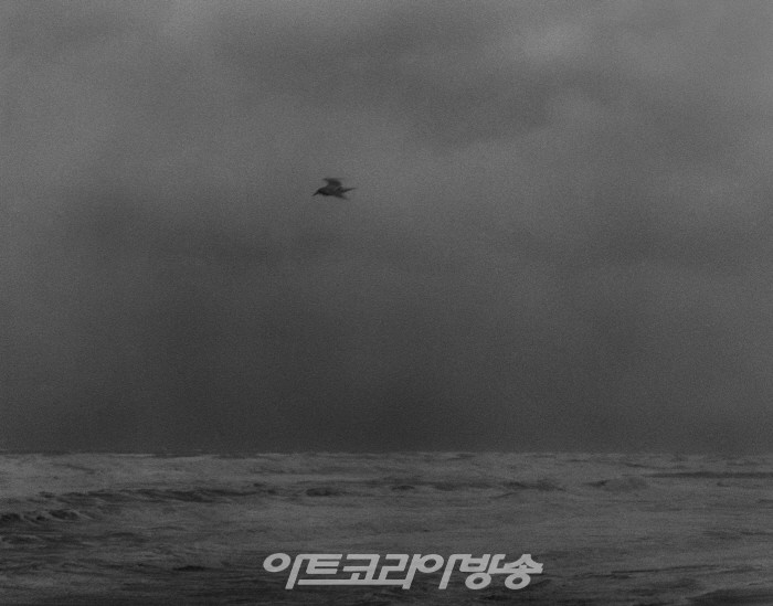 민병헌 MIN BYUNG HUN '새'展