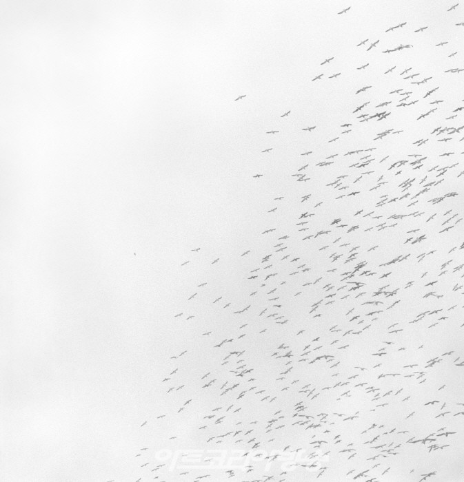 민병헌 MIN BYUNG HUN '새'展