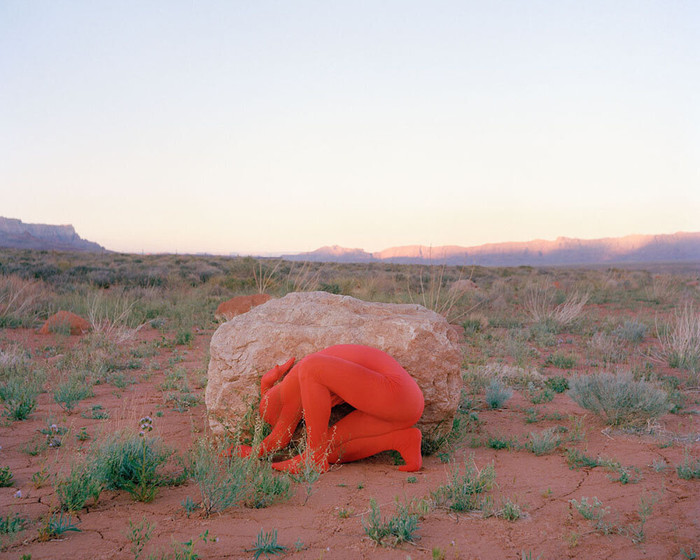 사진작가 Matthew Morrocco: Orchid